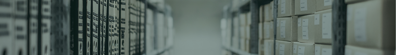 Privacy Policy - Ship Vital Delivery Solutions